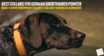 33 Best Collars and Harnesses For German Sorthaired Pointer