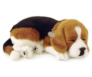 Best Toys For Beagles (Jan. 2020) - Tested and Reviewed